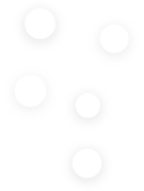 FTSI | Mentoring Tomorrow's Tech Leaders Today